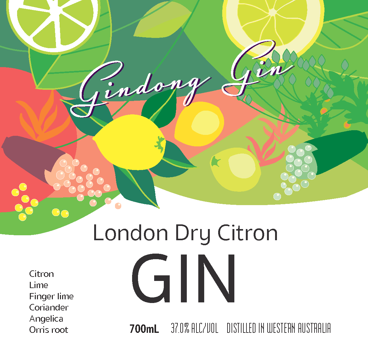 Gindong Citron London Dry Gin - After Hours Wines